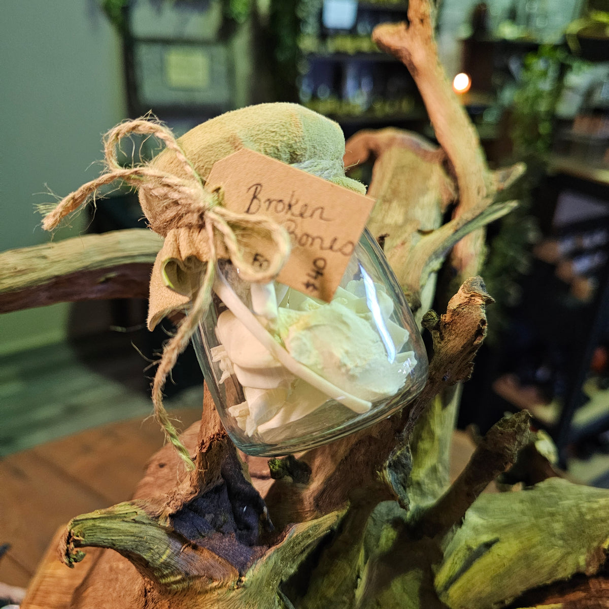 Broken Bones ~ Curios Collection| Lylliths' Emporium