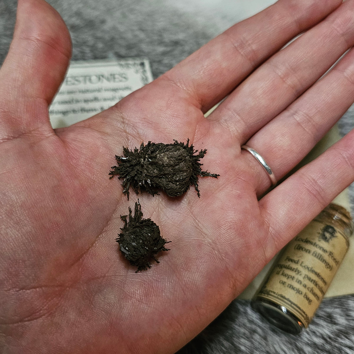 Natural Lodestone with Food| Lylliths' Emporium