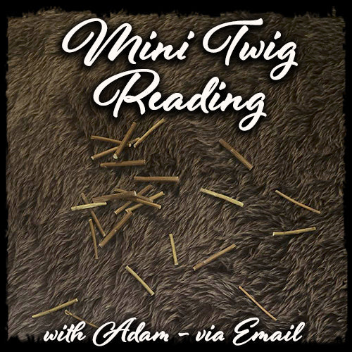 Twig Reading - Mini Reading| Lylliths' Emporium