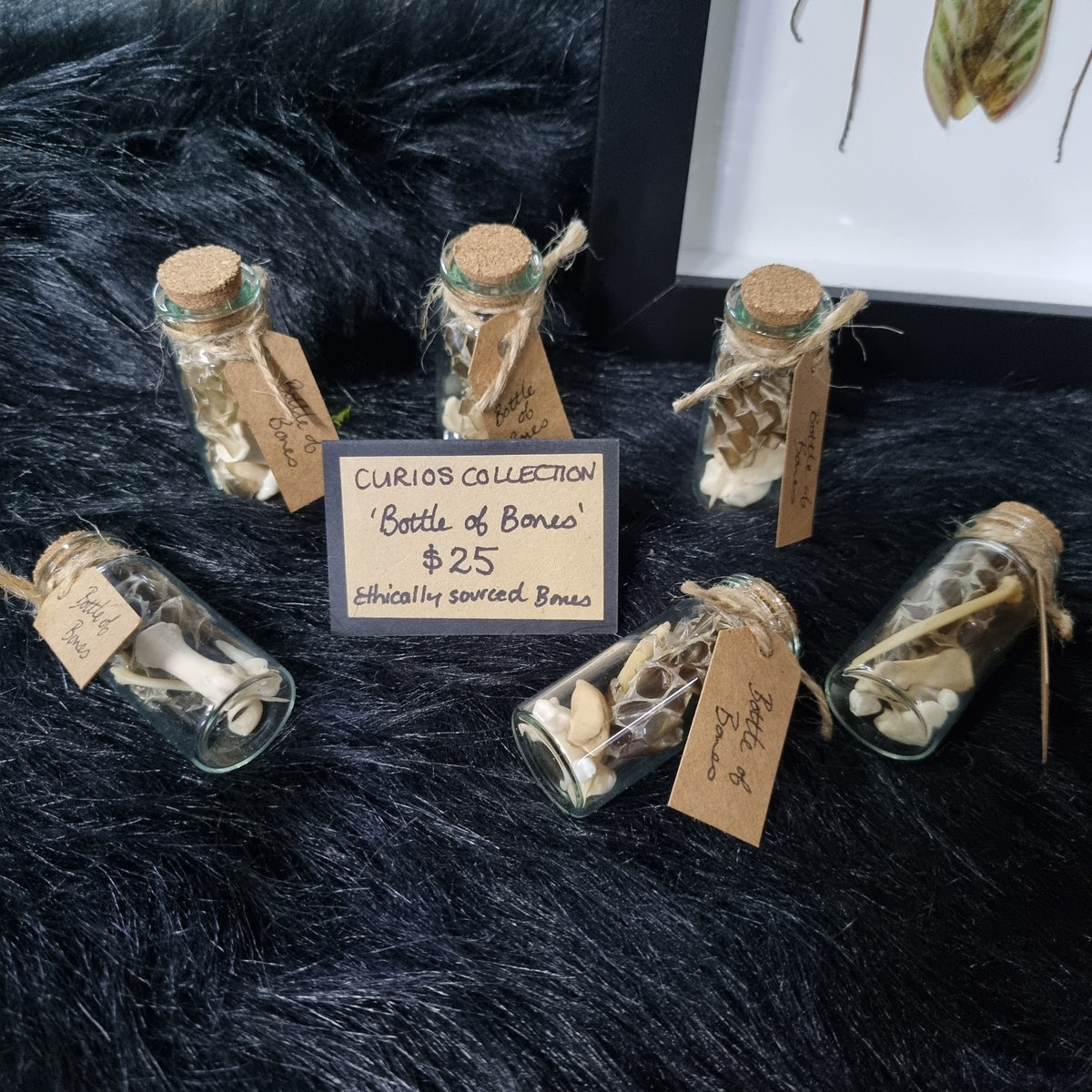Bottle of Bones ~ Curios Collection| Lylliths' Emporium