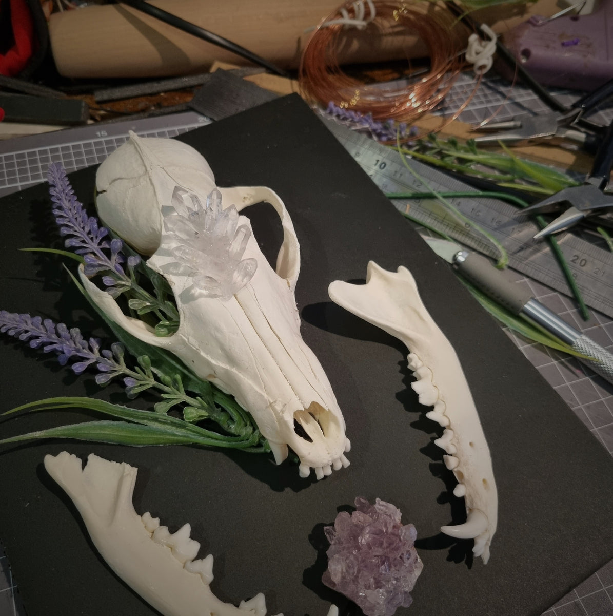 Fox Skull shadow box| Lylliths' Emporium