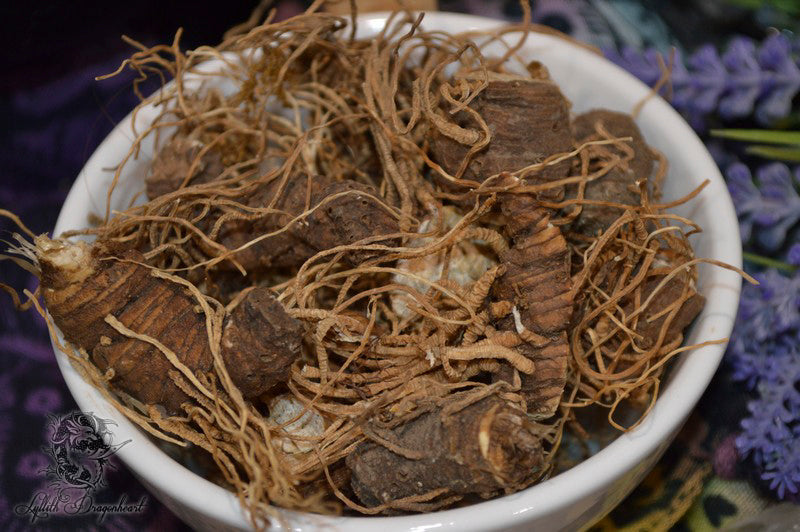 Beth (root) ~ Trillium| Lylliths' Emporium